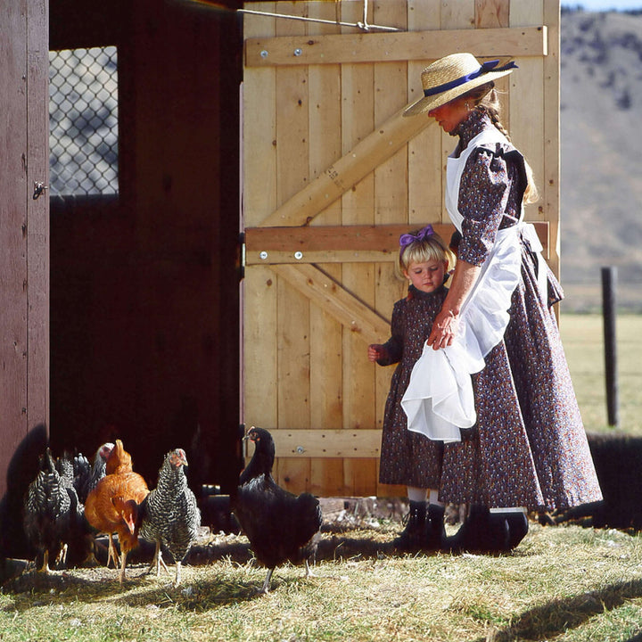 Ladies Old West Vintage Dresses Made in USA – Cattle Kate